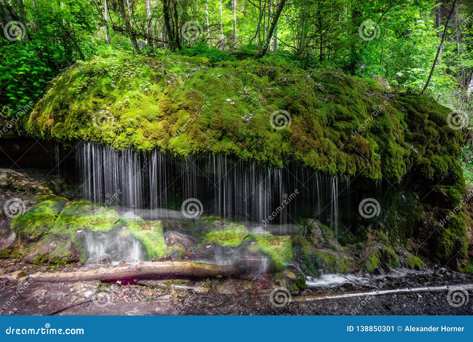 Water Stream Moss Waterfall Forest Scenery Spring Stock Image - Image ...