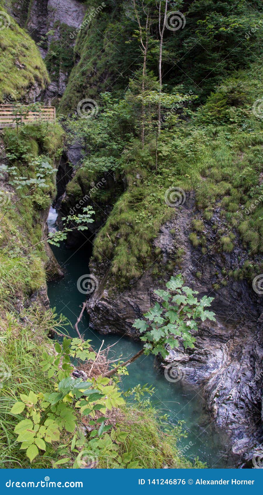 Water Stream in Mountain Canyon Stock Photo - Image of forest, stream ...