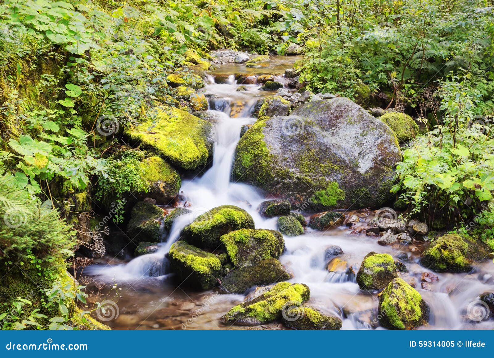 Water Stream on Mountain River, Dolomites, Italy Stock Image - Image of ...