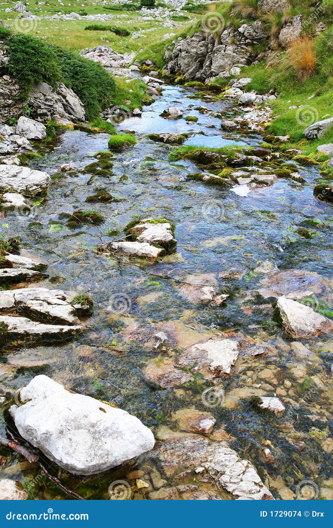 Water stream in nature stock photo. Image of stone, nature - 1729074