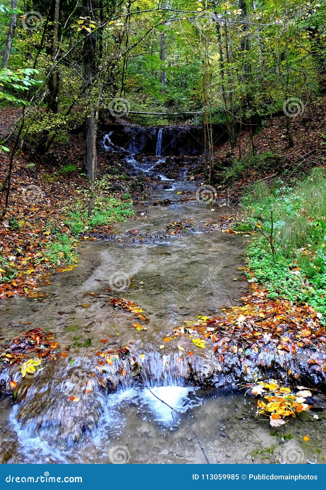 Water, Stream, Nature, Body Of Water Picture. Image: 113059985