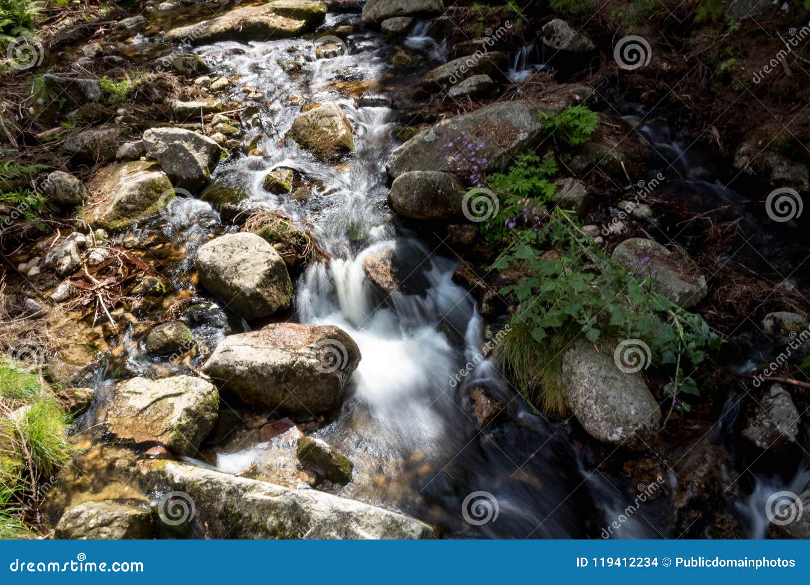 Water, Stream, Nature, Body Of Water Picture. Image: 119412234 Water, Stream, Nature, Body Of Water Picture. Image: 119412234