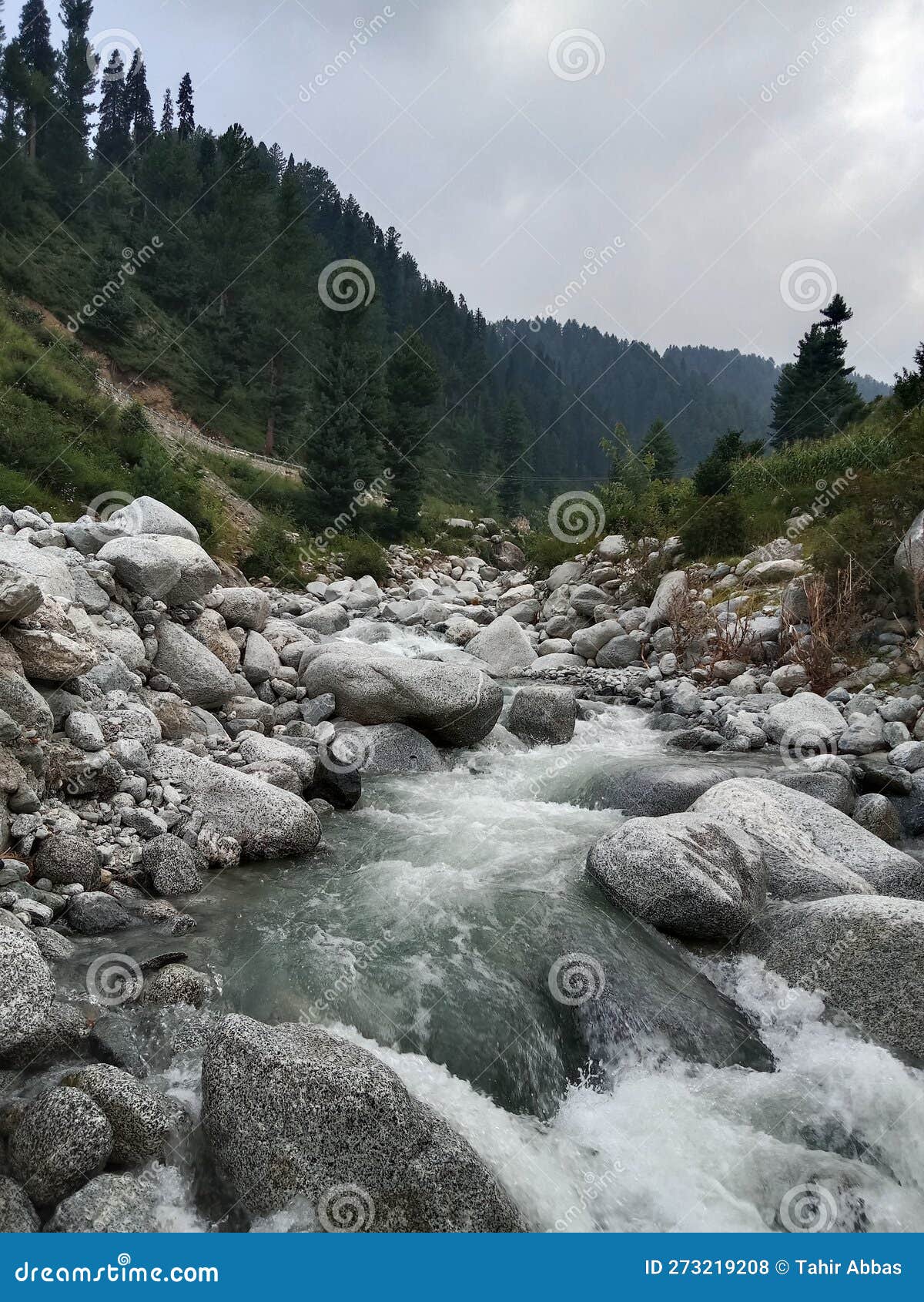 Water stream in nature stock photo. Image of nature - 273219208