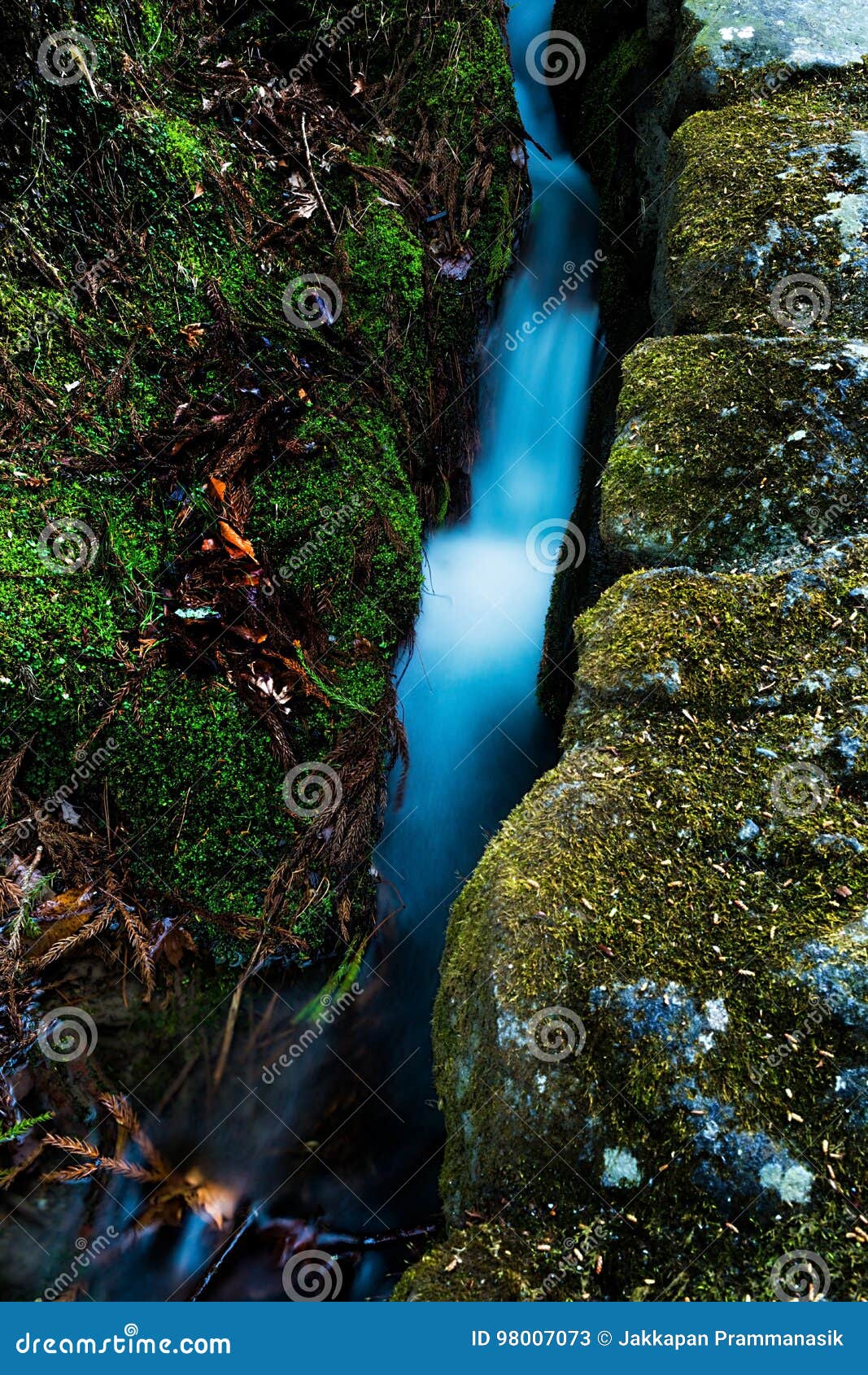 Water stream stock image. Image of moss, japan, nikko - 98007073