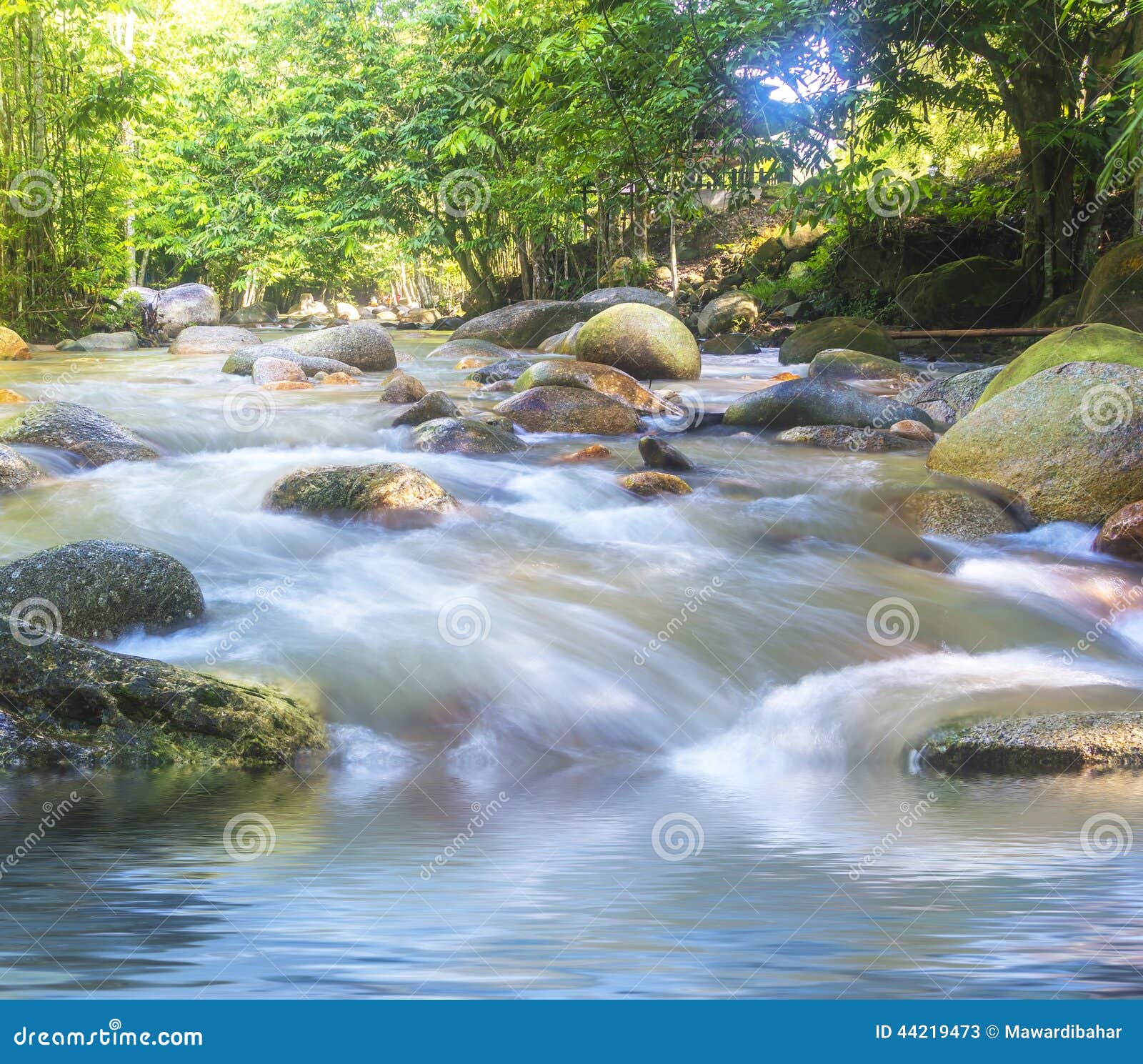 Water stream stock image. Image of peaceful, landscape - 44219473