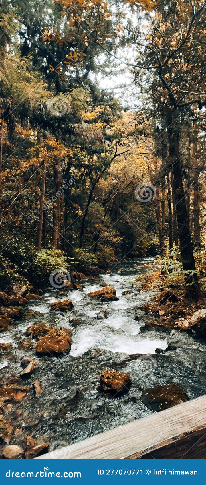 Water stream river stock image. Image of stram, river - 277070771