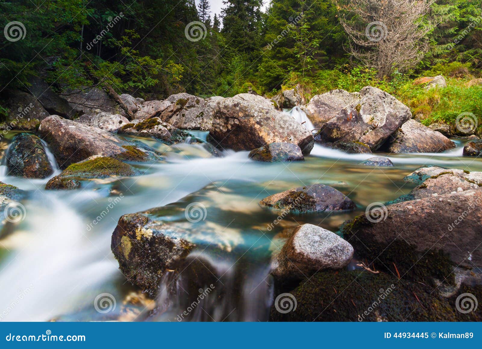 Water stream - river stock image. Image of grove, river - 44934445