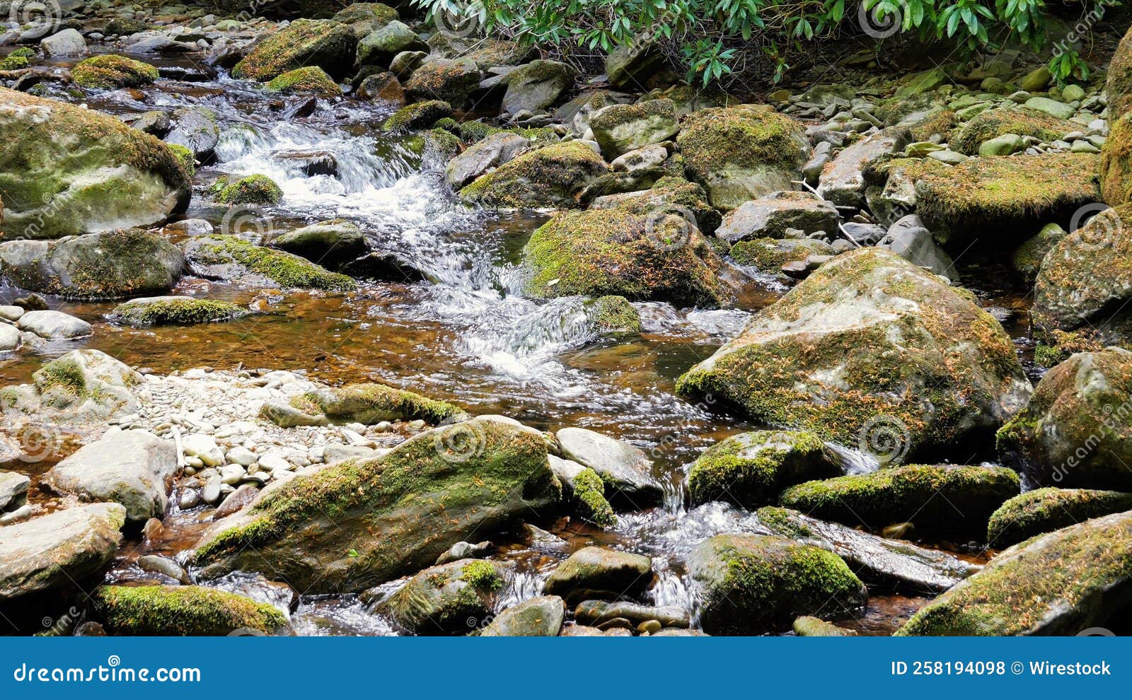 Water stream with rocks stock photo. Image of fluid - 258194098