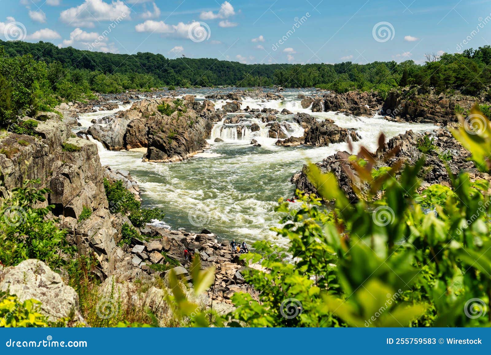 Water Stream with Rocks in it Surrounded by Greenery Stock Image ...