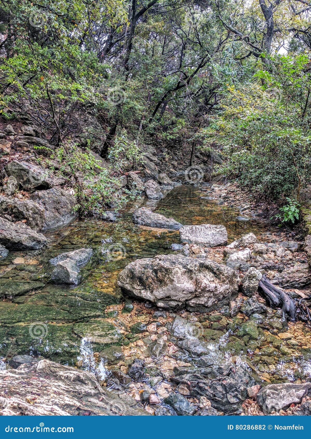 Water stream stock photo. Image of stream, shallow, water - 80286882