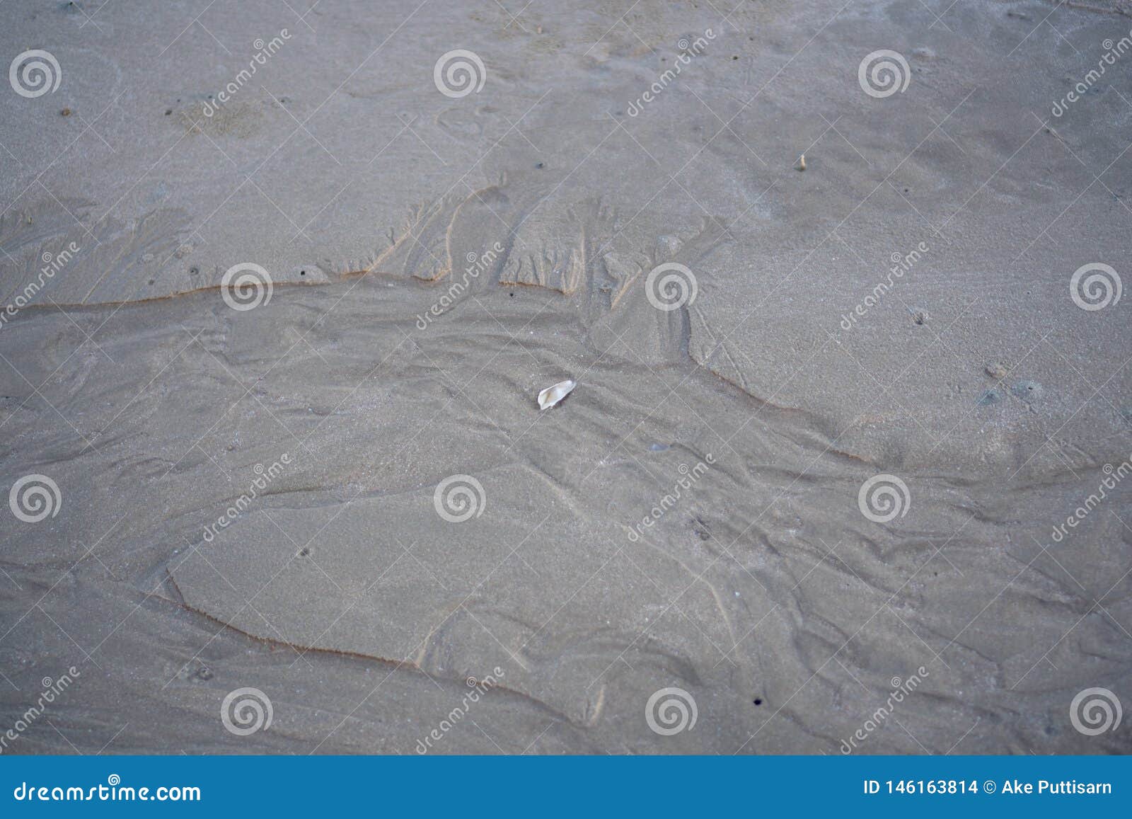 Water Stream or Small Flowing Water Route on the Beach by the Sea Stock ...