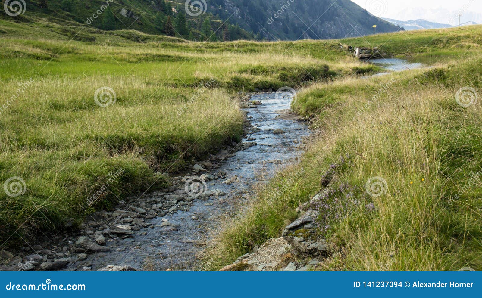Water Stream Small River on Mountain Top Stock Photo - Image of ...