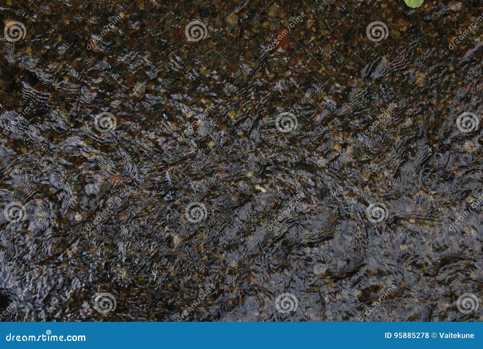 Water Stream Texture in River. Stock Photo - Image of ripples, stone ...