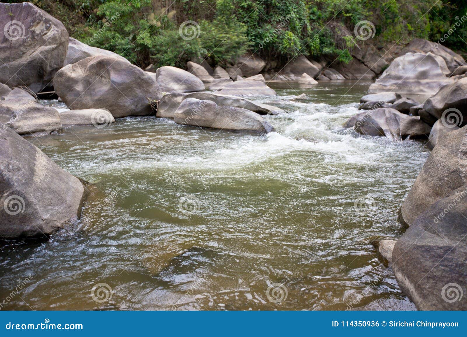 Water stream stock photo. Image of creek, green, beautiful - 114350936