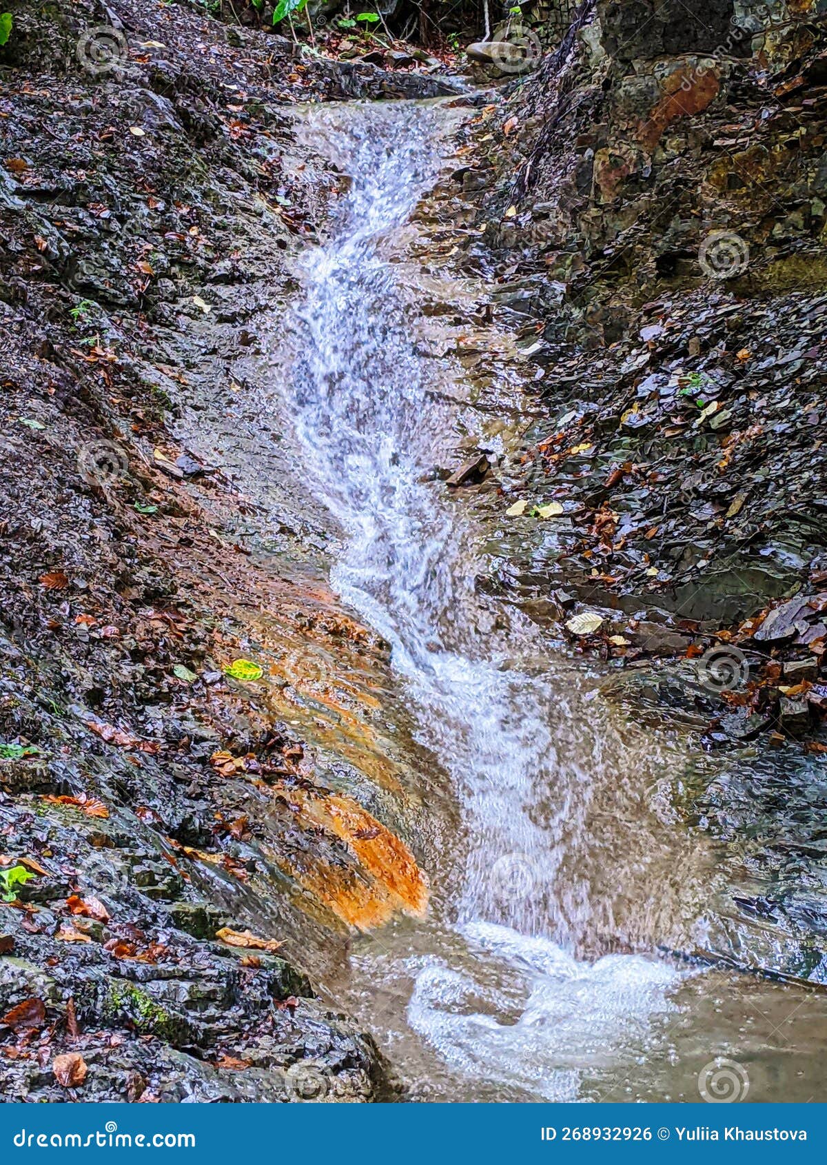 Water Stream of Waterfall Cascade in Nature Forest Stock Photo - Image ...