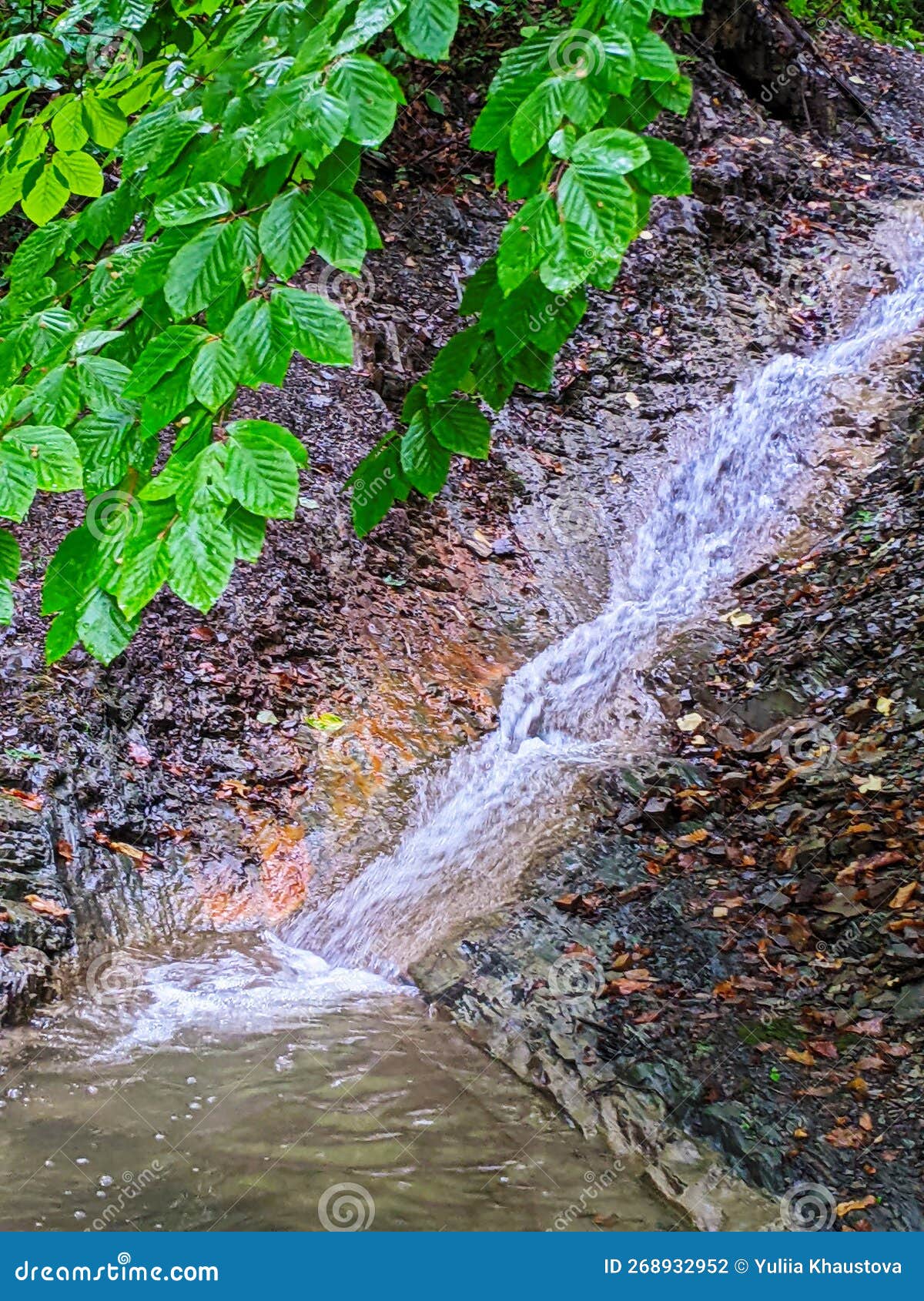 Water Stream of Waterfall Cascade in Nature Forest Stock Photo - Image ...