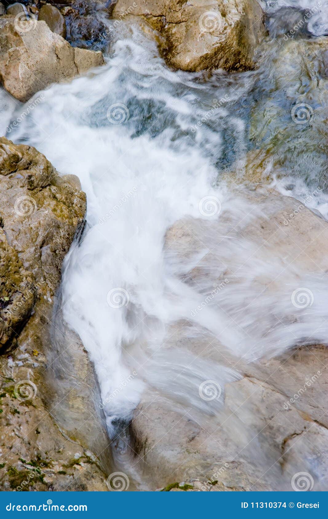 Water streaming stock photo. Image of river, nature, foliage - 11310374