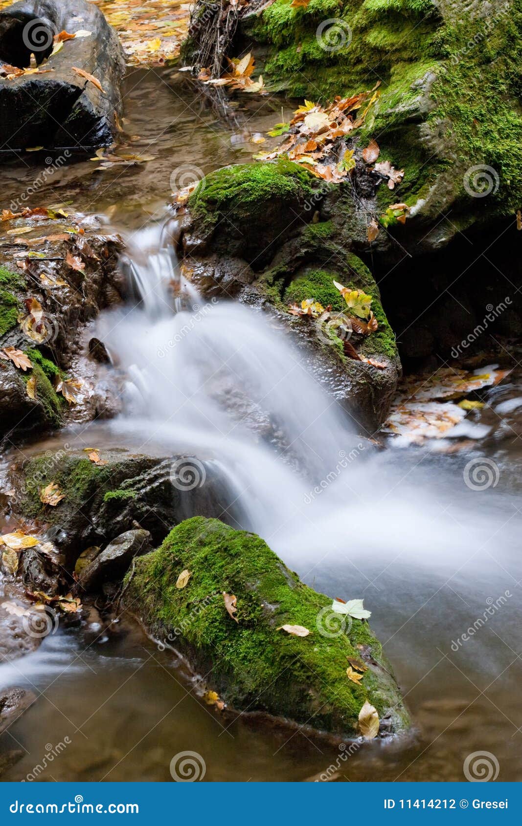 Water streaming stock photo. Image of falling, foliage - 11414212
