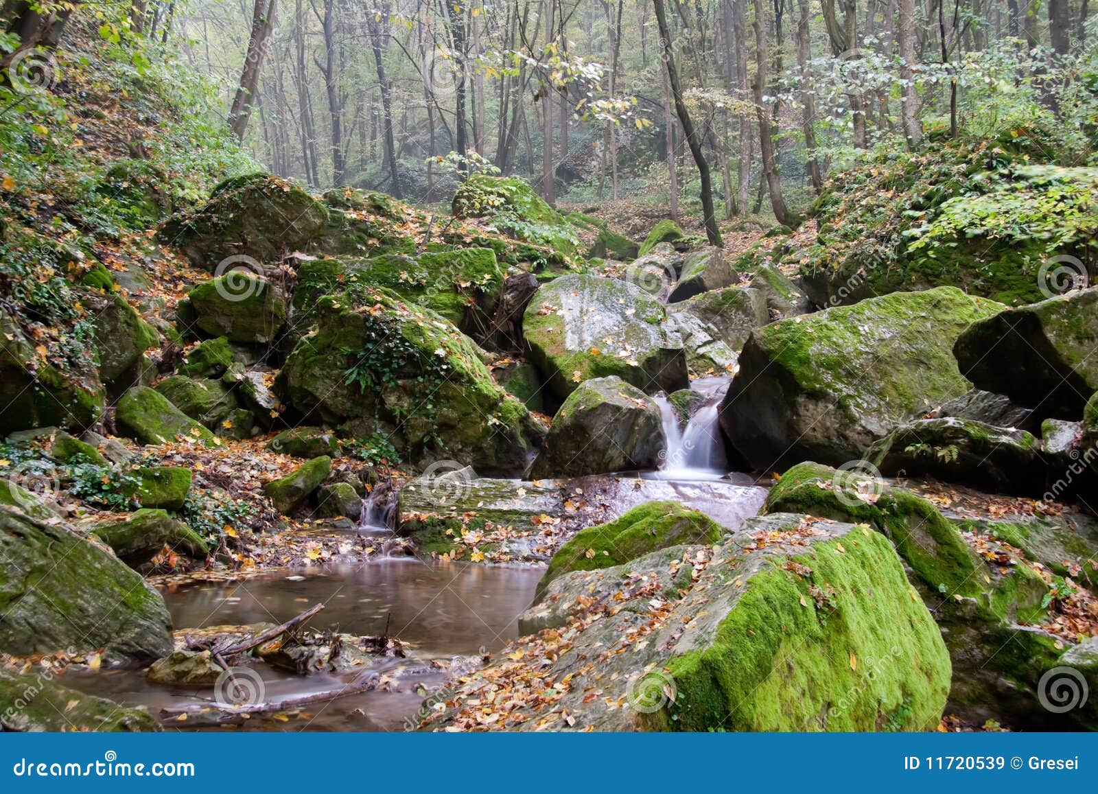 Water streaming stock image. Image of rock, stream, autumn - 11720539