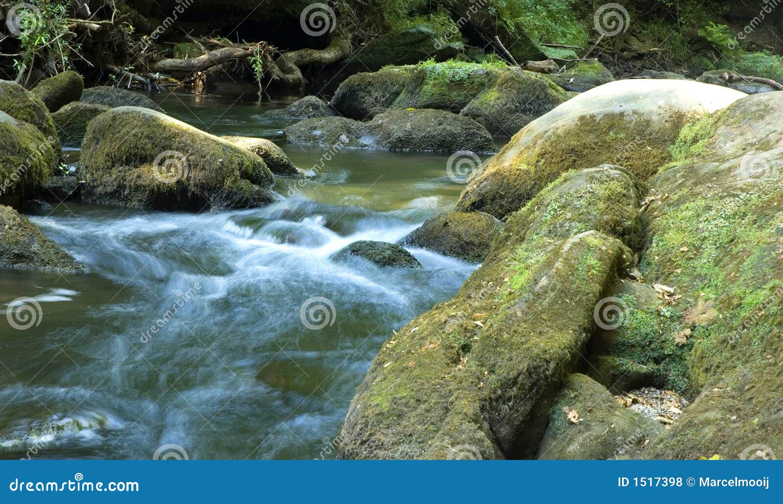 Water streaming stock photo. Image of lake, water, river - 1517398