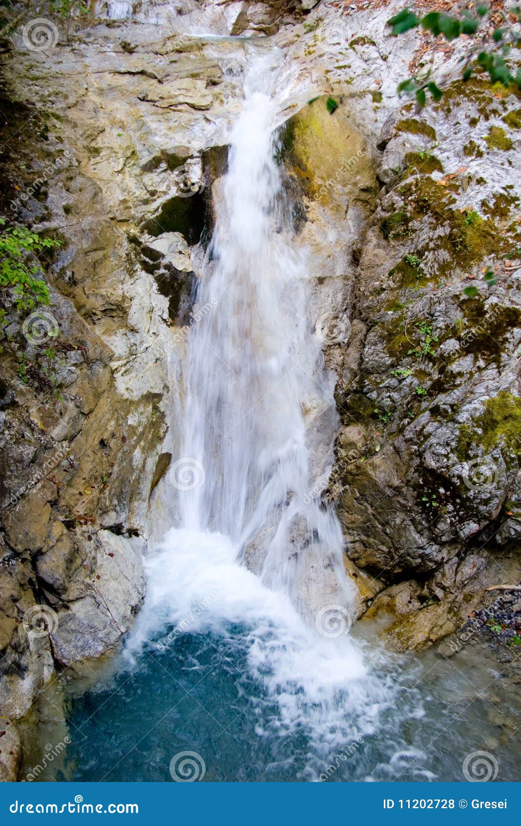 Water streaming down stock photo. Image of green, leaf - 11202728