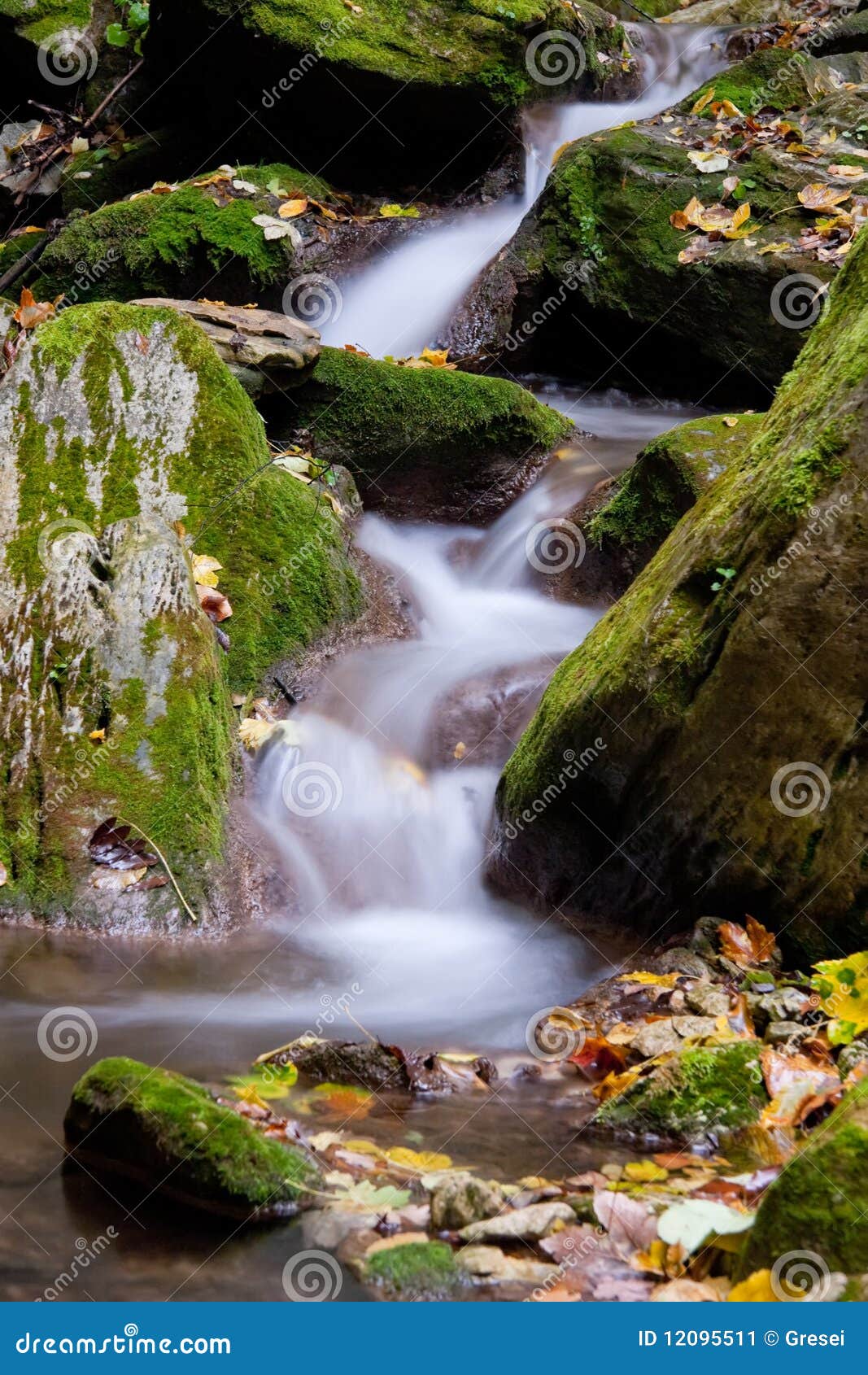 Water streaming down stock image. Image of forest, flowing - 12095511