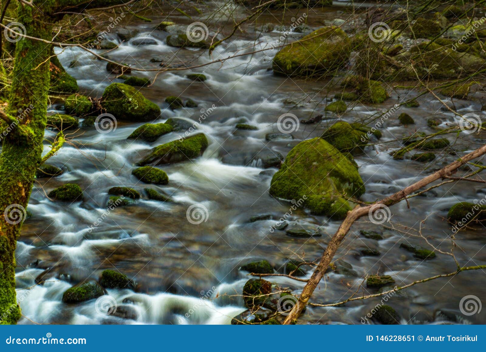 Water Streaming through the Rocks Downhill Creating a Small Waterfall ...