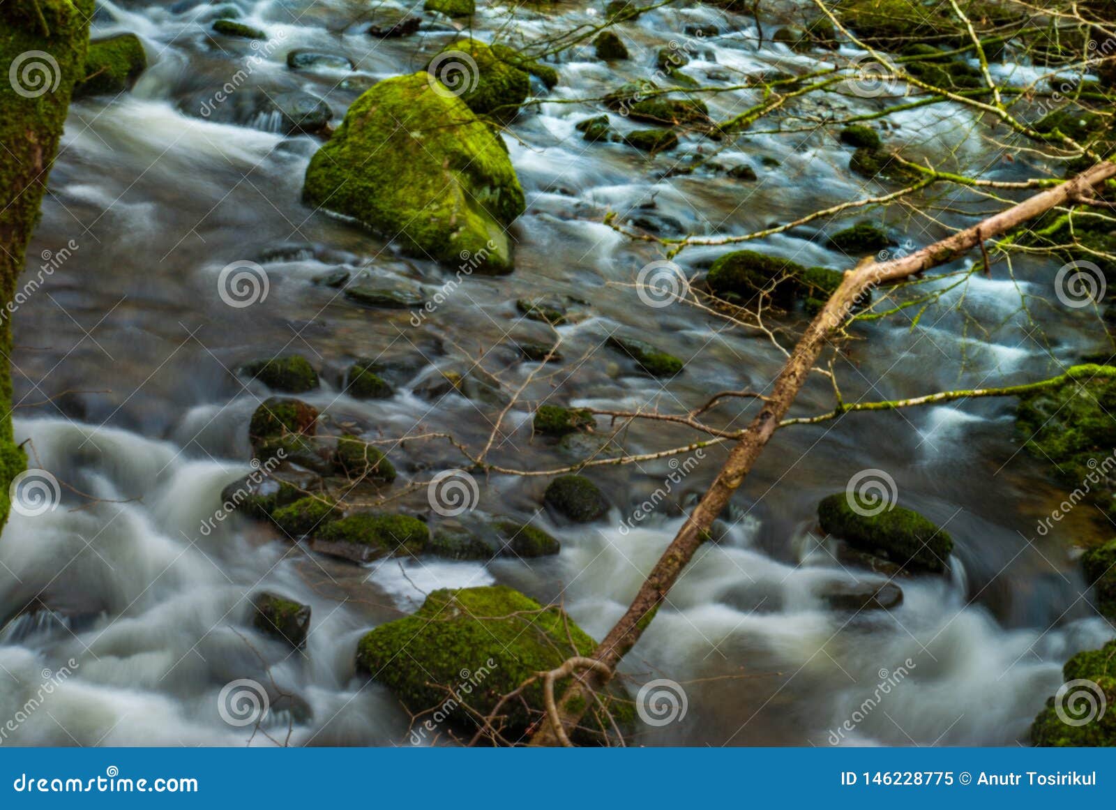 Water Streaming through the Rocks Downhill Creating a Small Waterfall ...