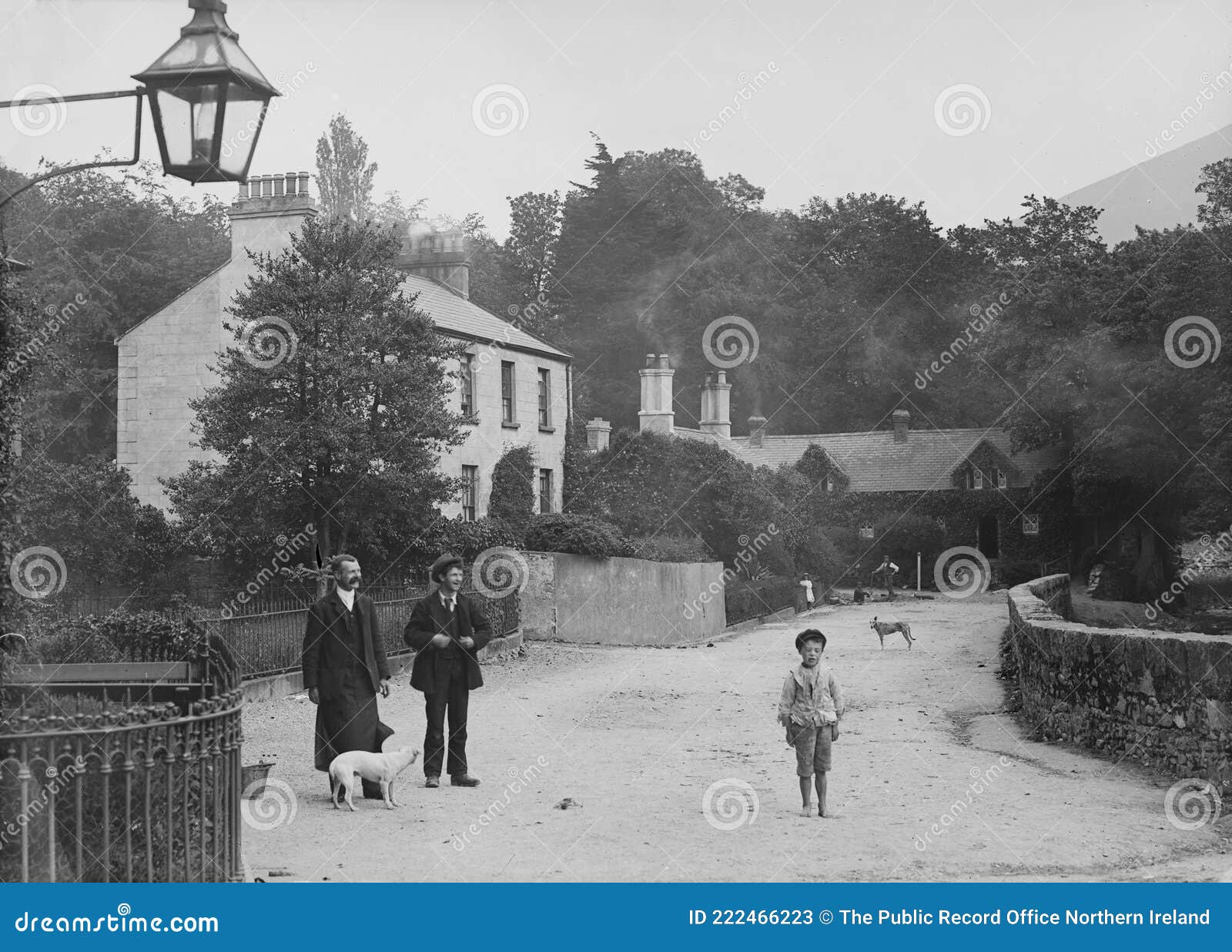 Water Street, Rostrevor Picture. Image: 222466223