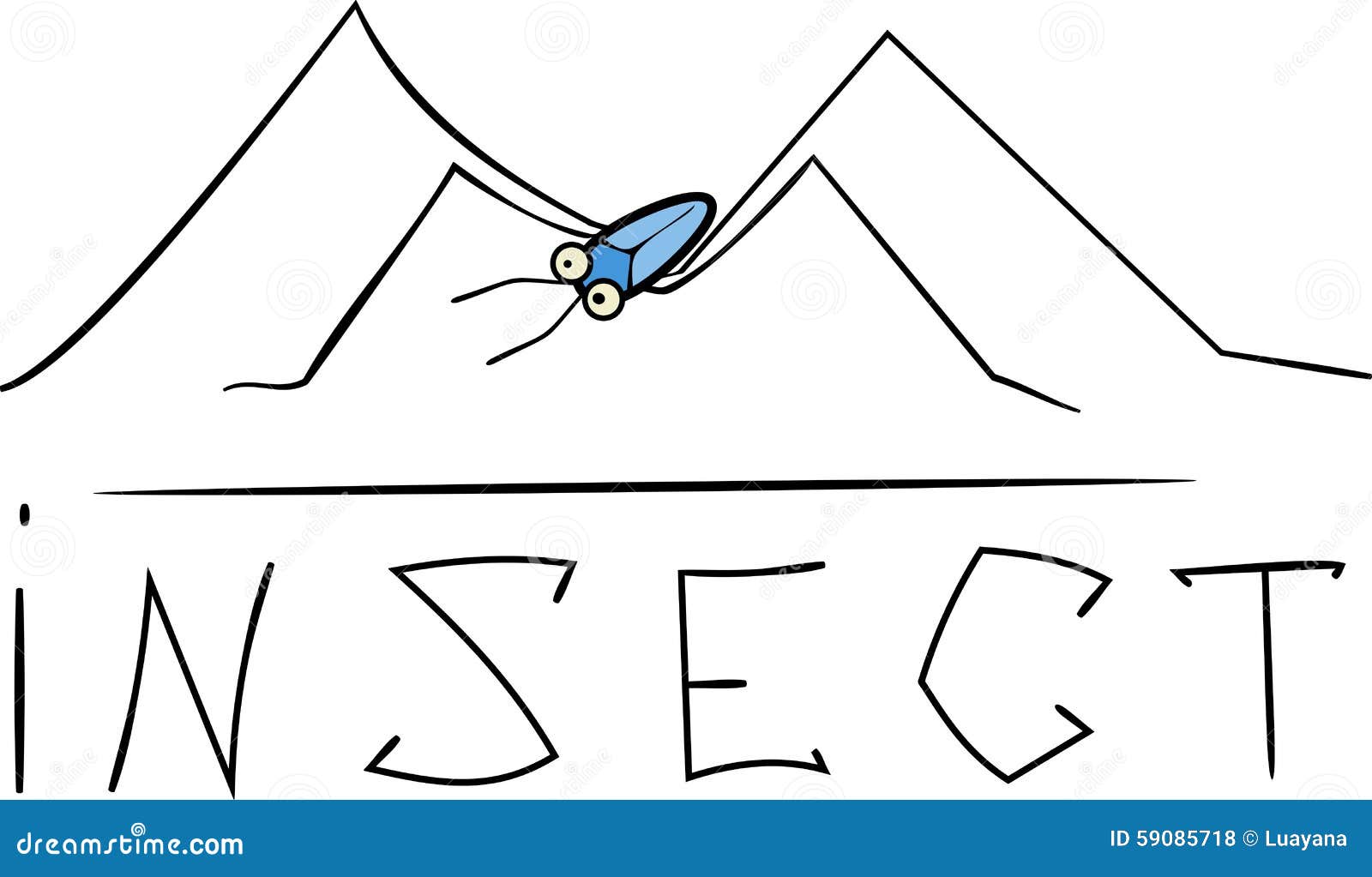 Water Strider In Various Poses. Vector Coloring Book With Color ...