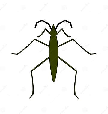 Water Strider Vector stock vector. Illustration of sign - 94291693