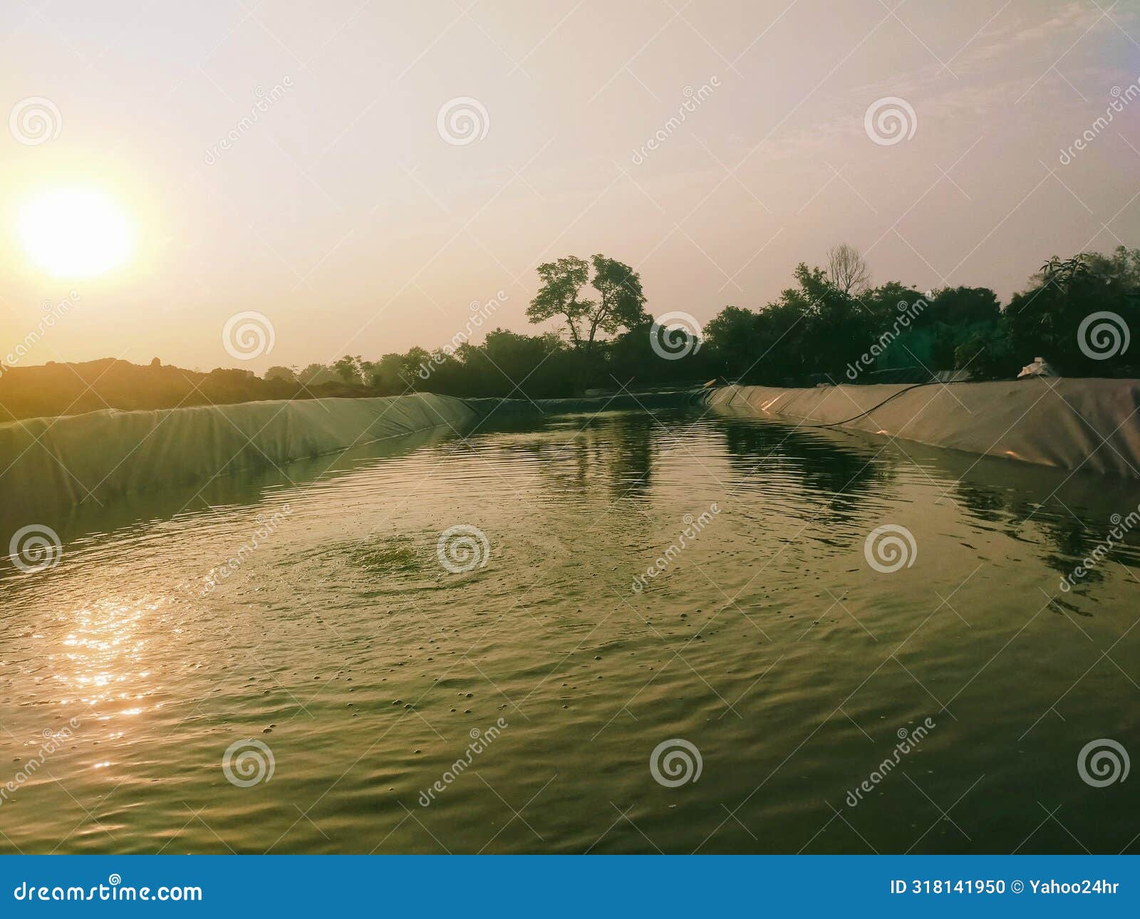 Water Sun Tree Sky Pond River Shine Focus Stock Photo - Image of tree ...