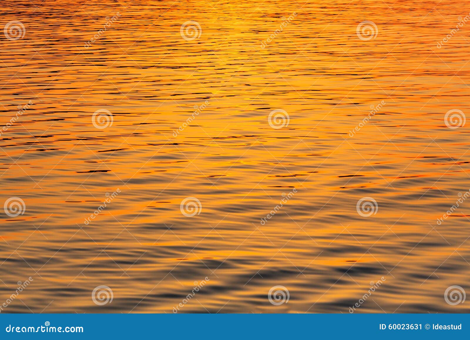 Water at Sunset Texture Close Up Sea Light Stock Image - Image of ...