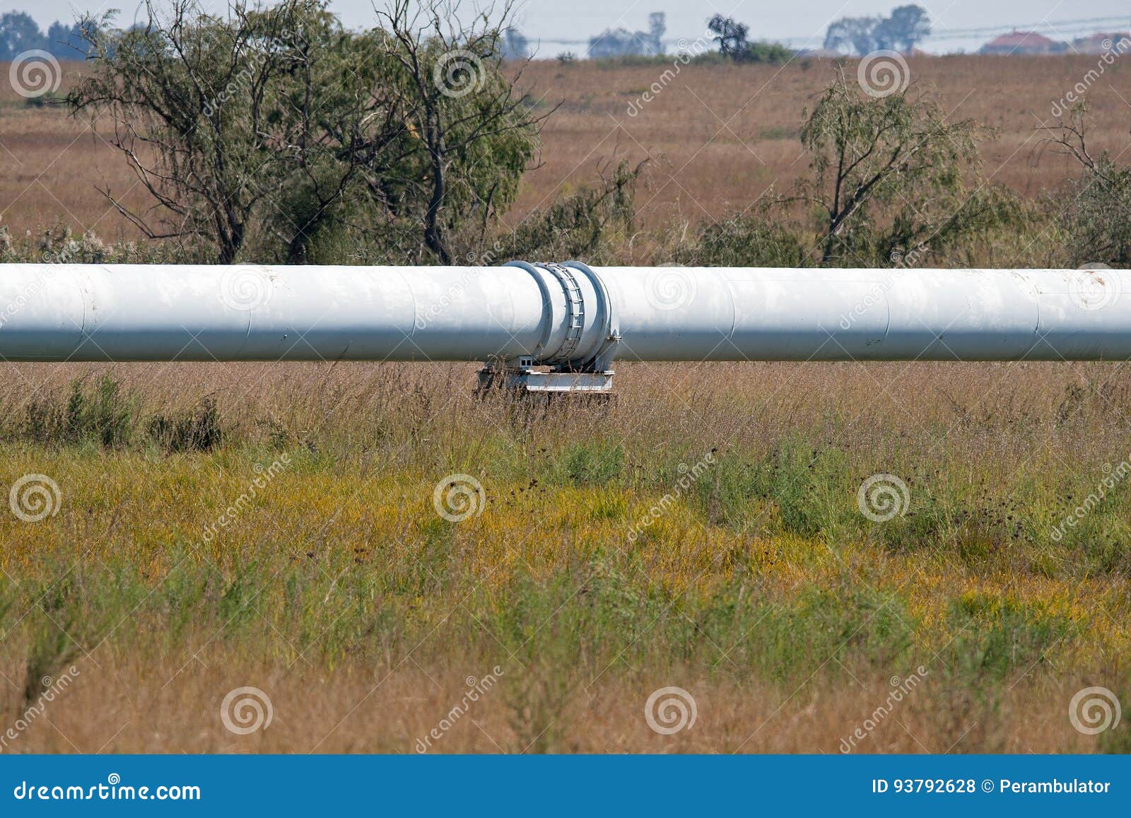 WATER SUPPLY PIPE stock photo. Image of environment, vegetation - 93792628