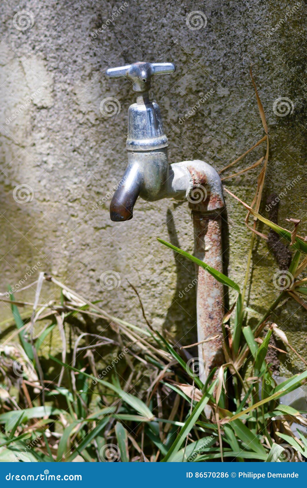 Water Supply Tap in the Garden Stock Photo - Image of design, plumbing ...