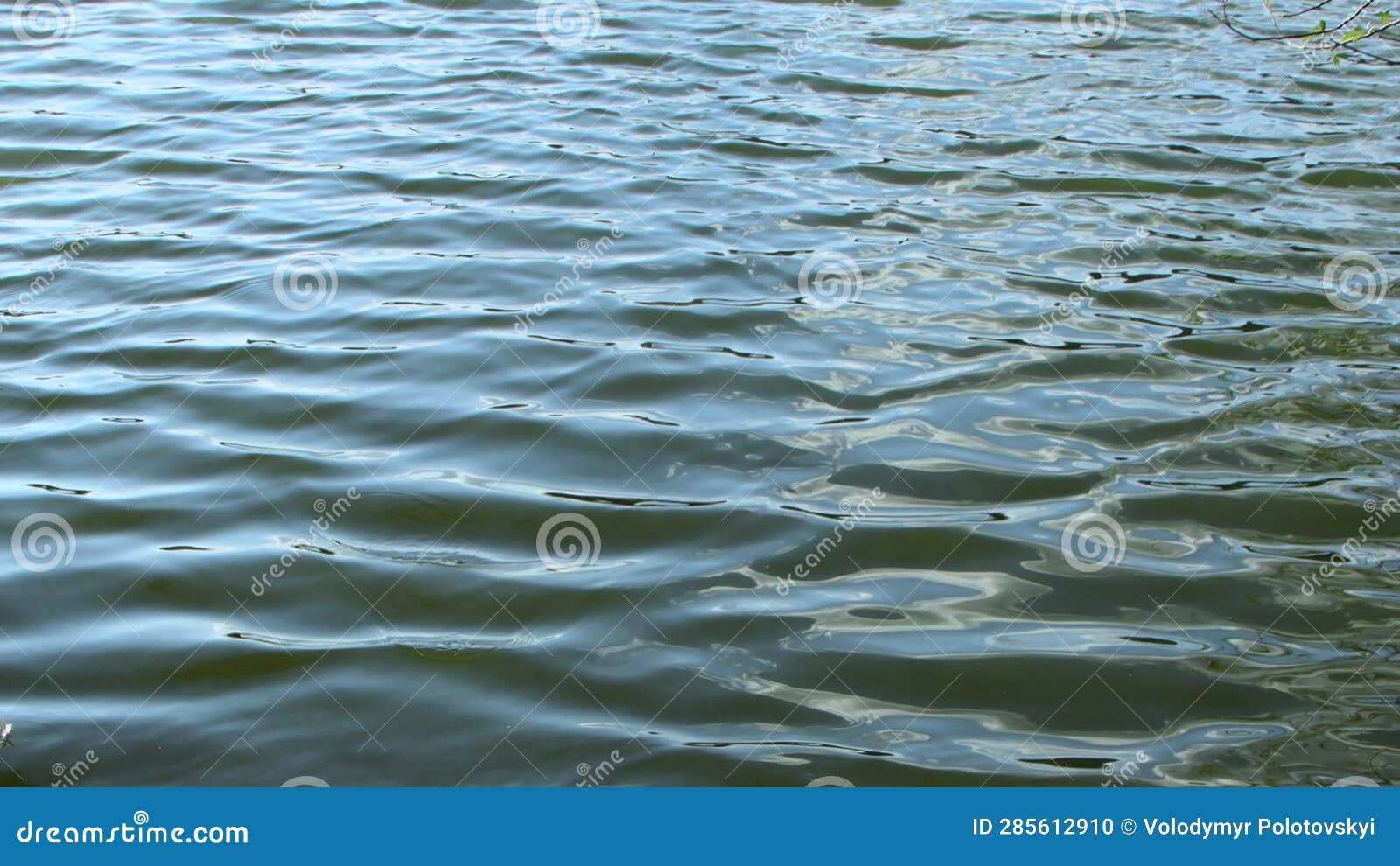 Water Surface. Calm Water Ripples Stock Footage - Video of natural ...