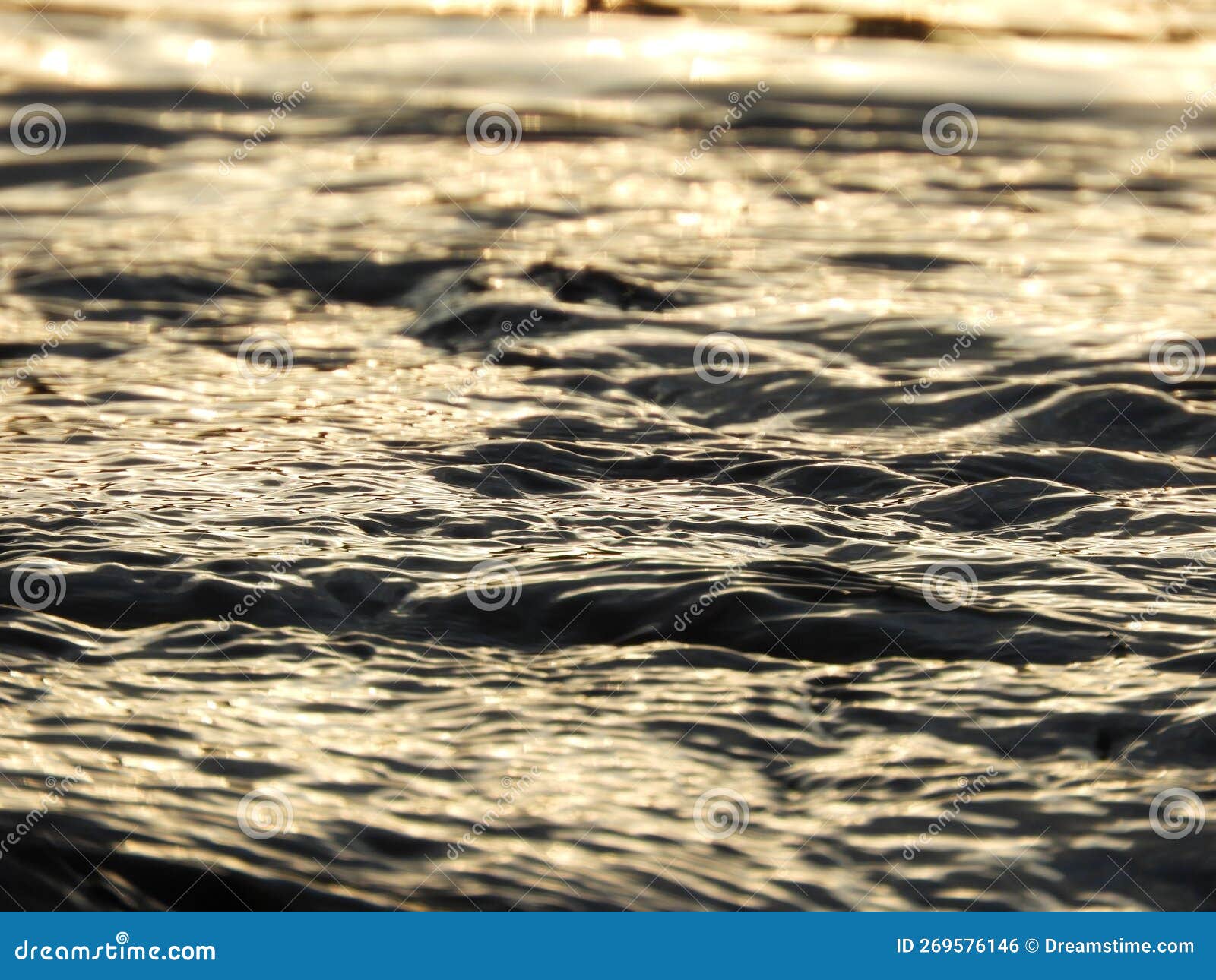 Water Surface Covered by Sunlight Stock Photo - Image of natural ...
