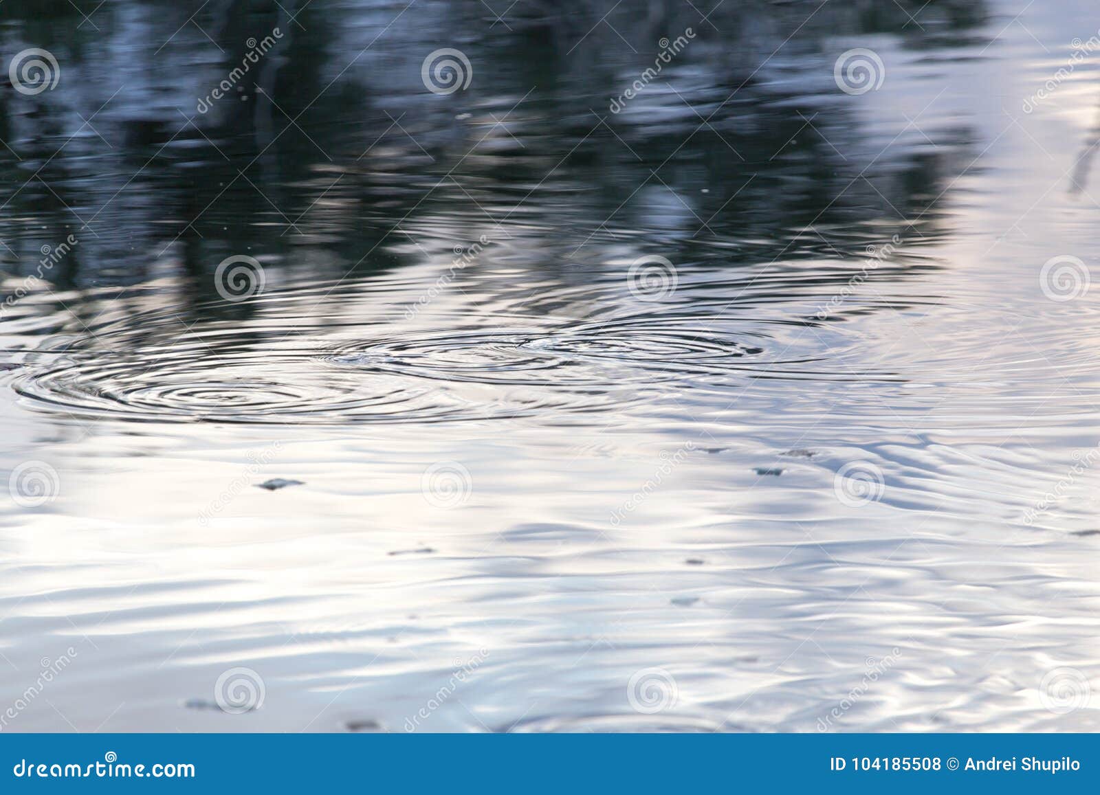 Water surface at dawn stock photo. Image of bright, evening - 104185508