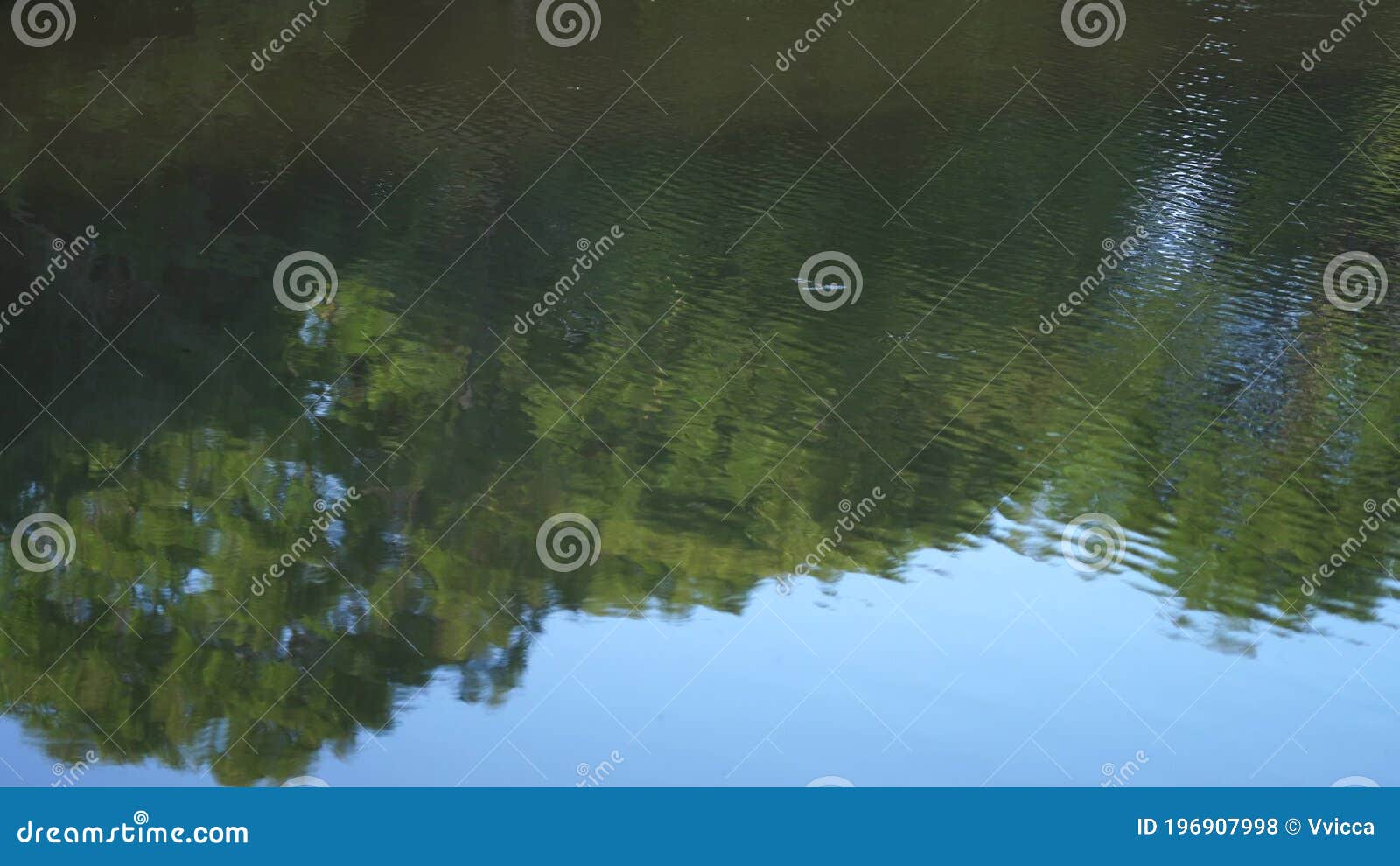 Water Surface of the Lake with the Reflection of Trees. Stock Footage ...
