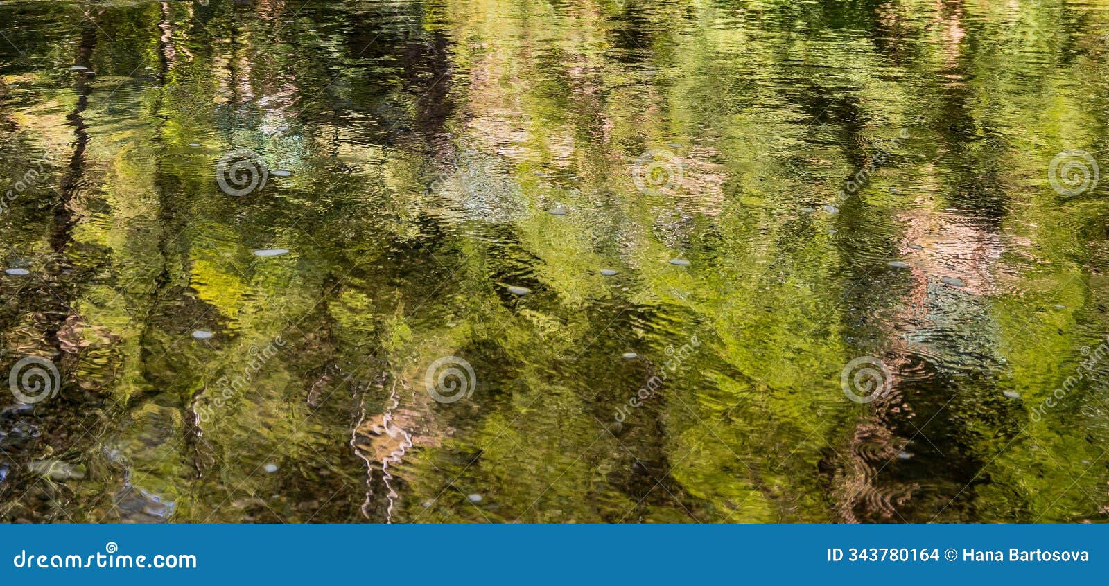 Water Surface that Mirrors Trees and Grass, Abstract Background Stock ...