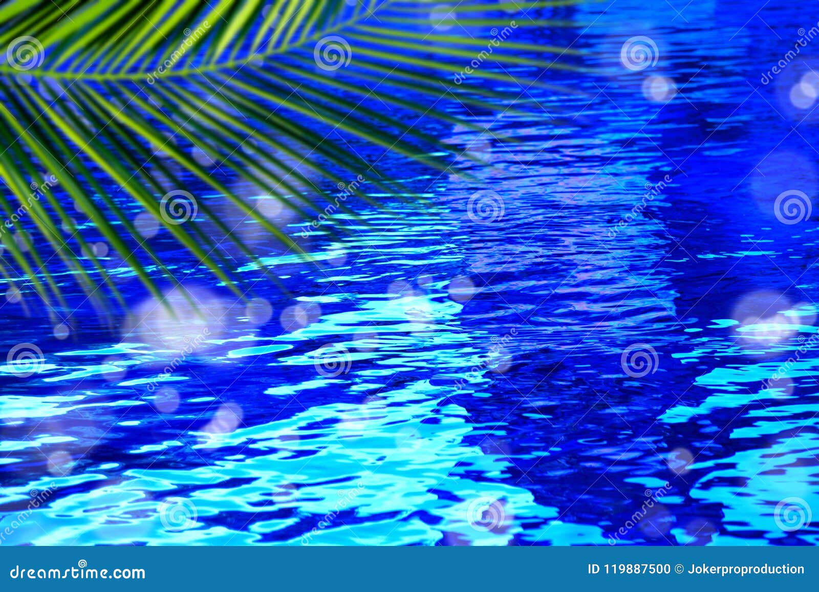 Water Surface and Palm Tree Stock Photo - Image of beauty, liquid ...