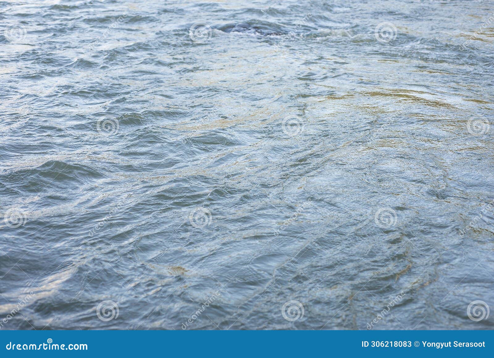 Water Surface from the Perspective of the Eye Level. in the Even Stock ...