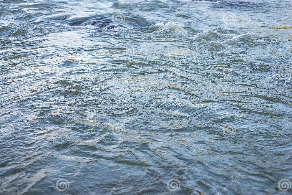 Water Surface from the Perspective of the Eye Level. in the Even Stock ...