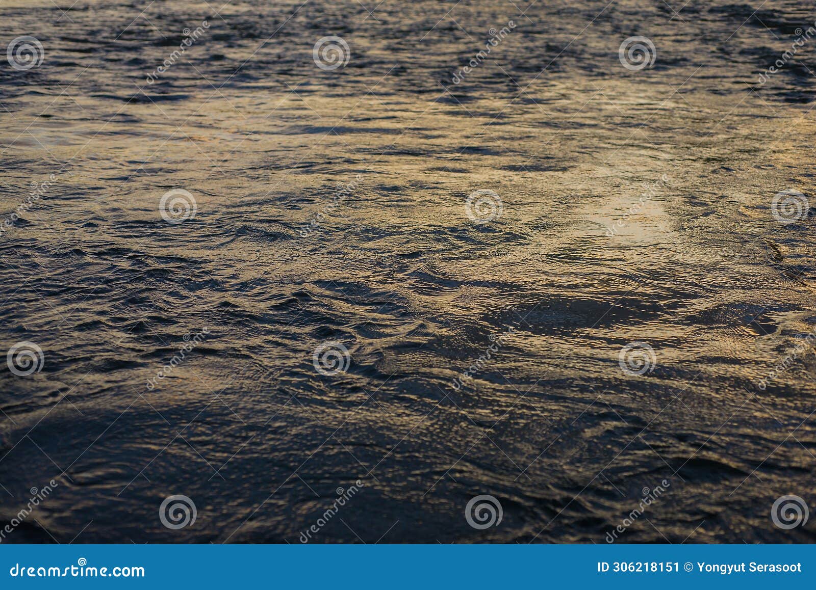 Water Surface from the Perspective of the Eye Level. in the Even Stock ...