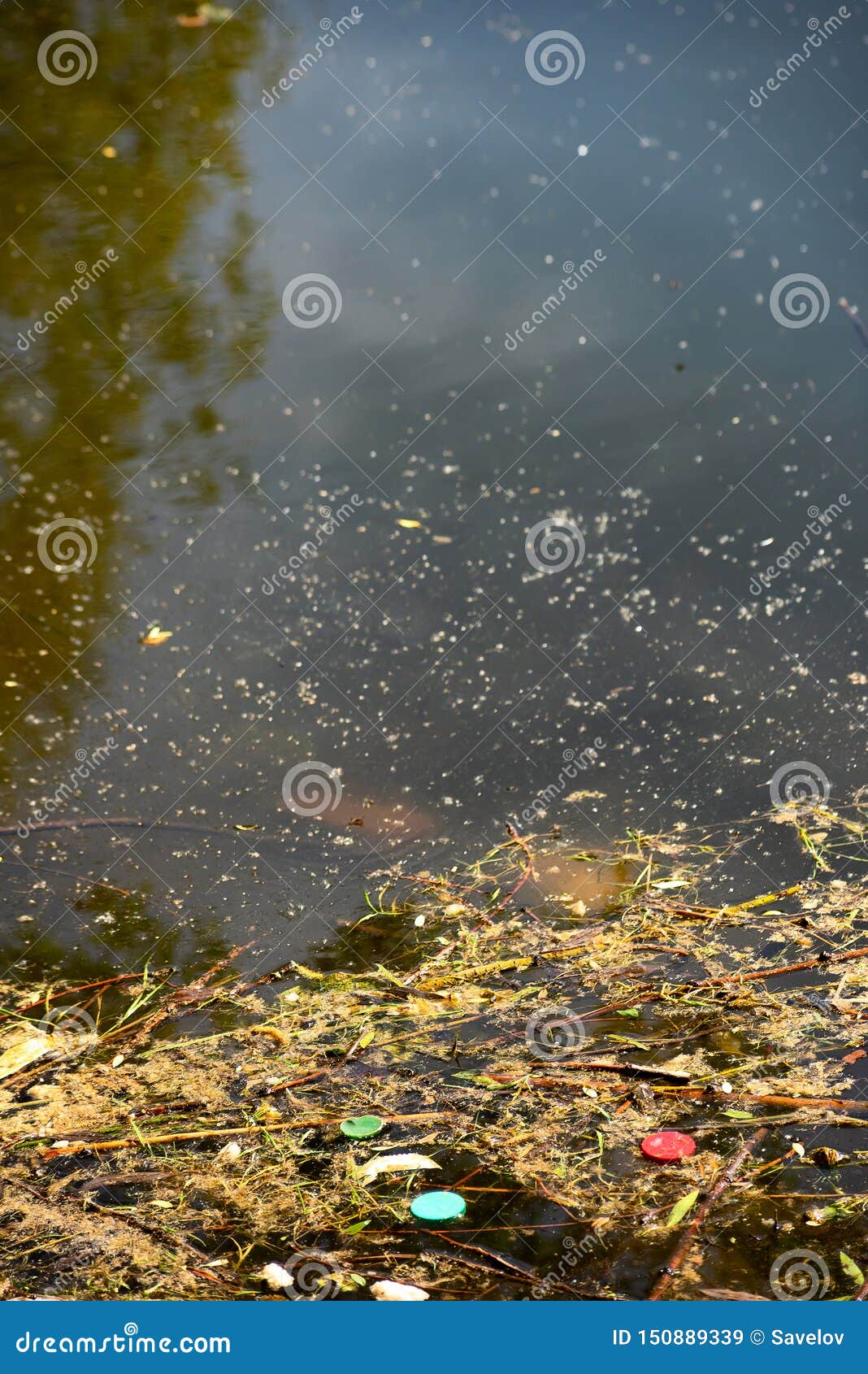 Water Surface with Plastic Debris Stock Image - Image of disaster ...