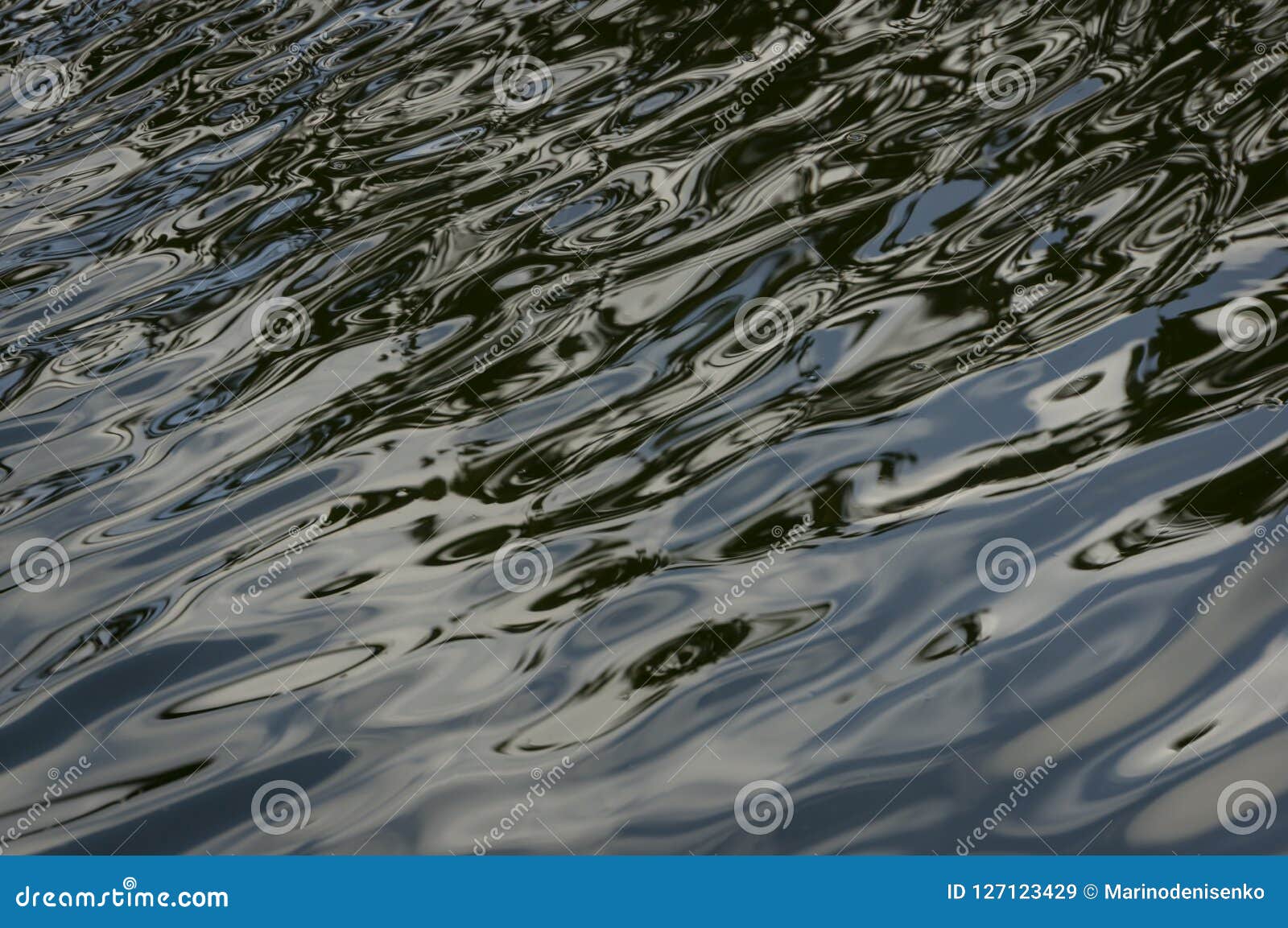 The Water Surface of the Pond with Soft Playing Reflections of the Sky ...