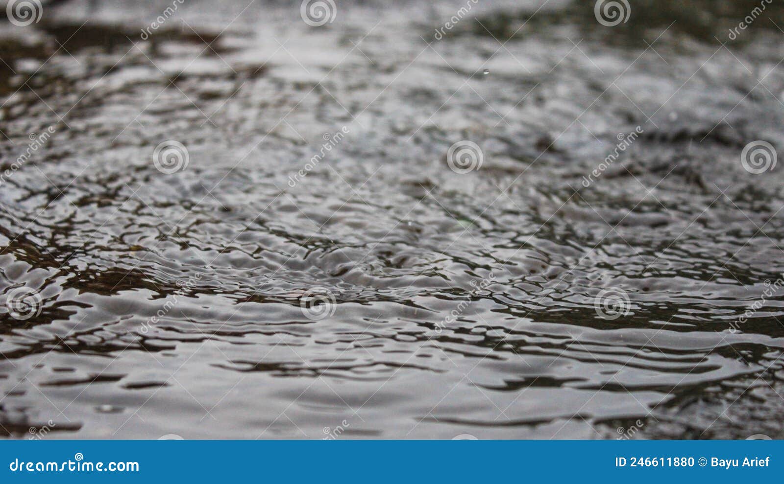 Water Surface of a Puddle after the Rain Stock Photo - Image of macro ...