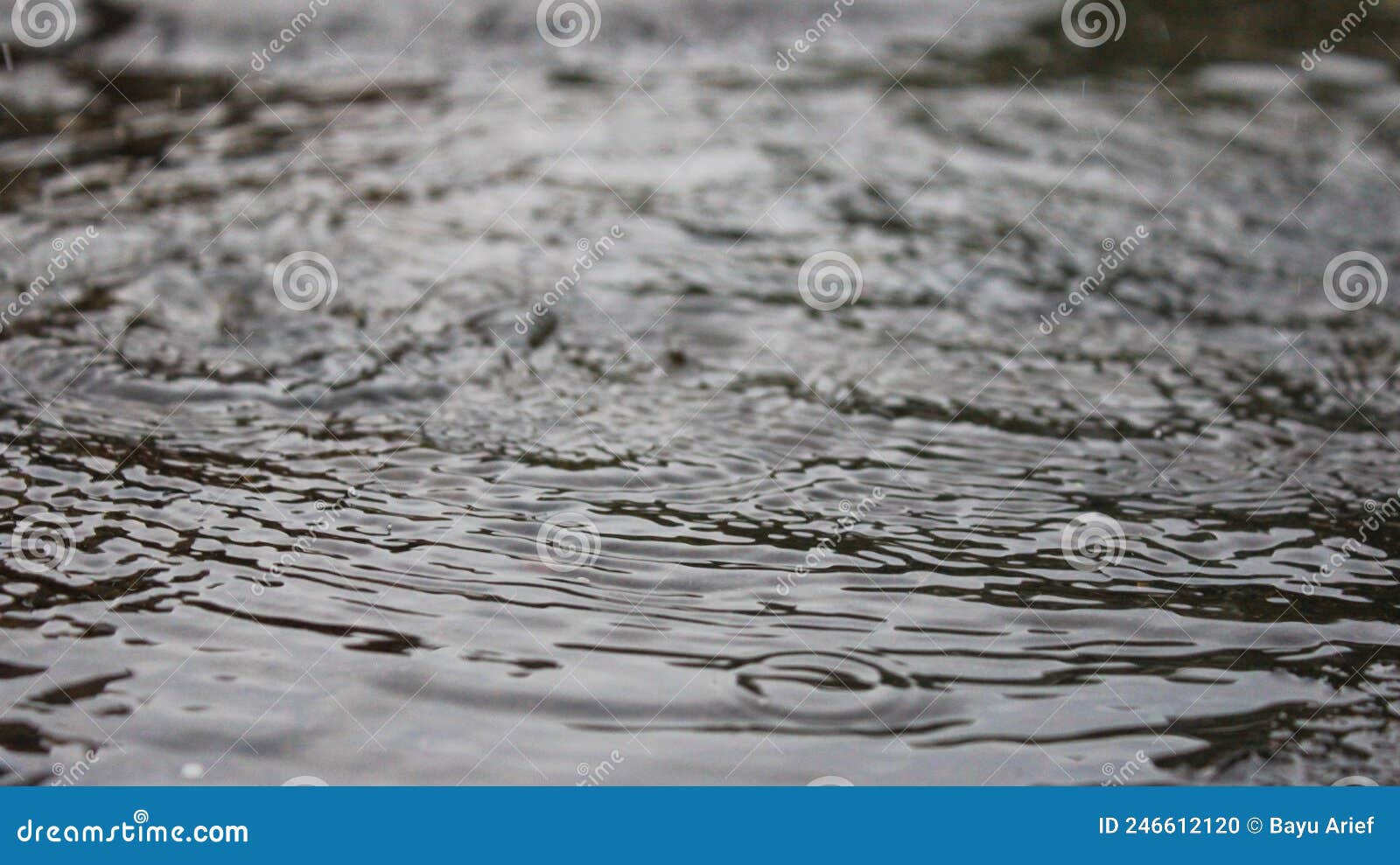 Water Surface of a Puddle after the Rain Stock Photo - Image of cool ...