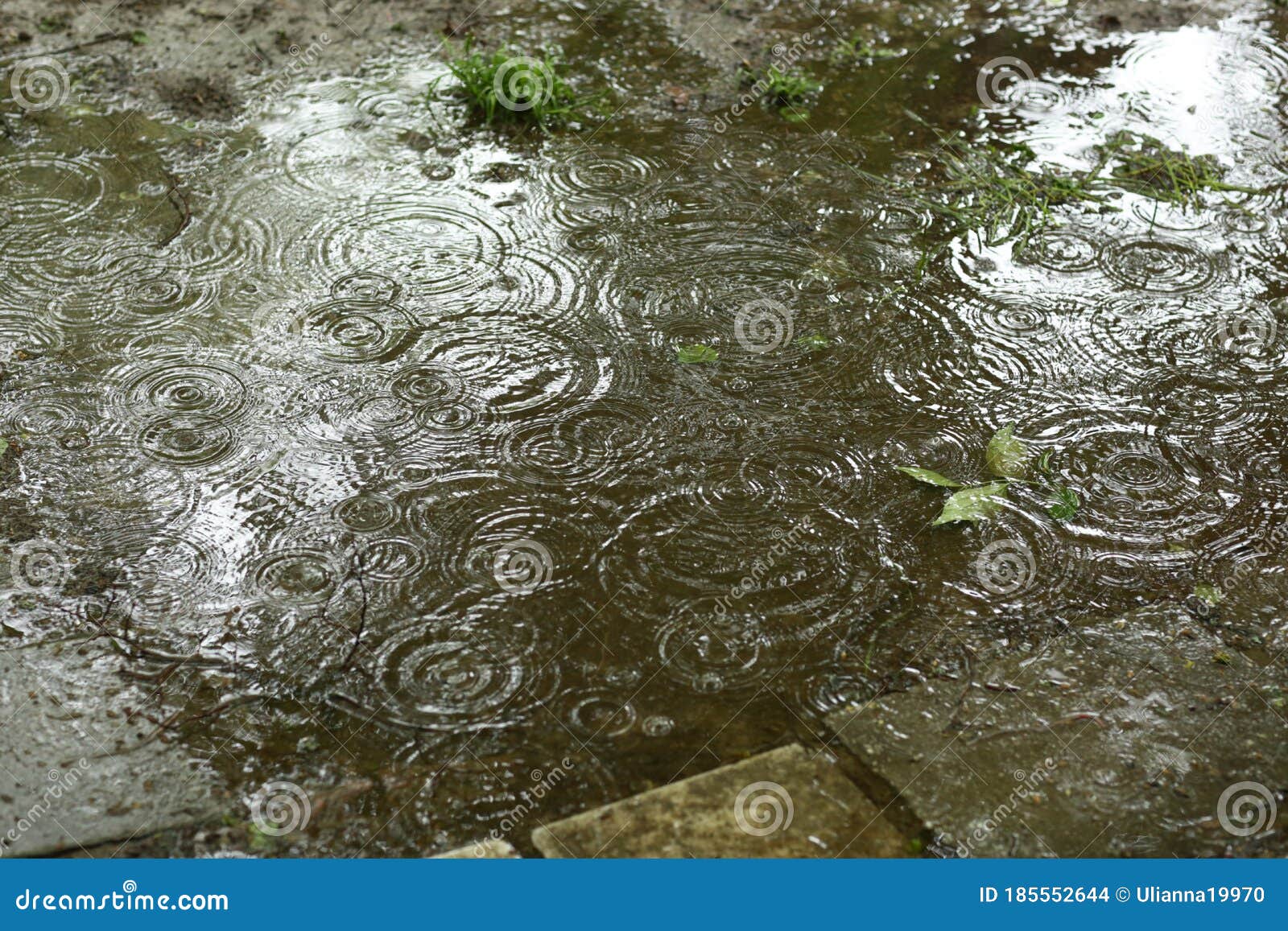 Water Surface with Rain Texture - Circles and Bubbles Texture Stock ...