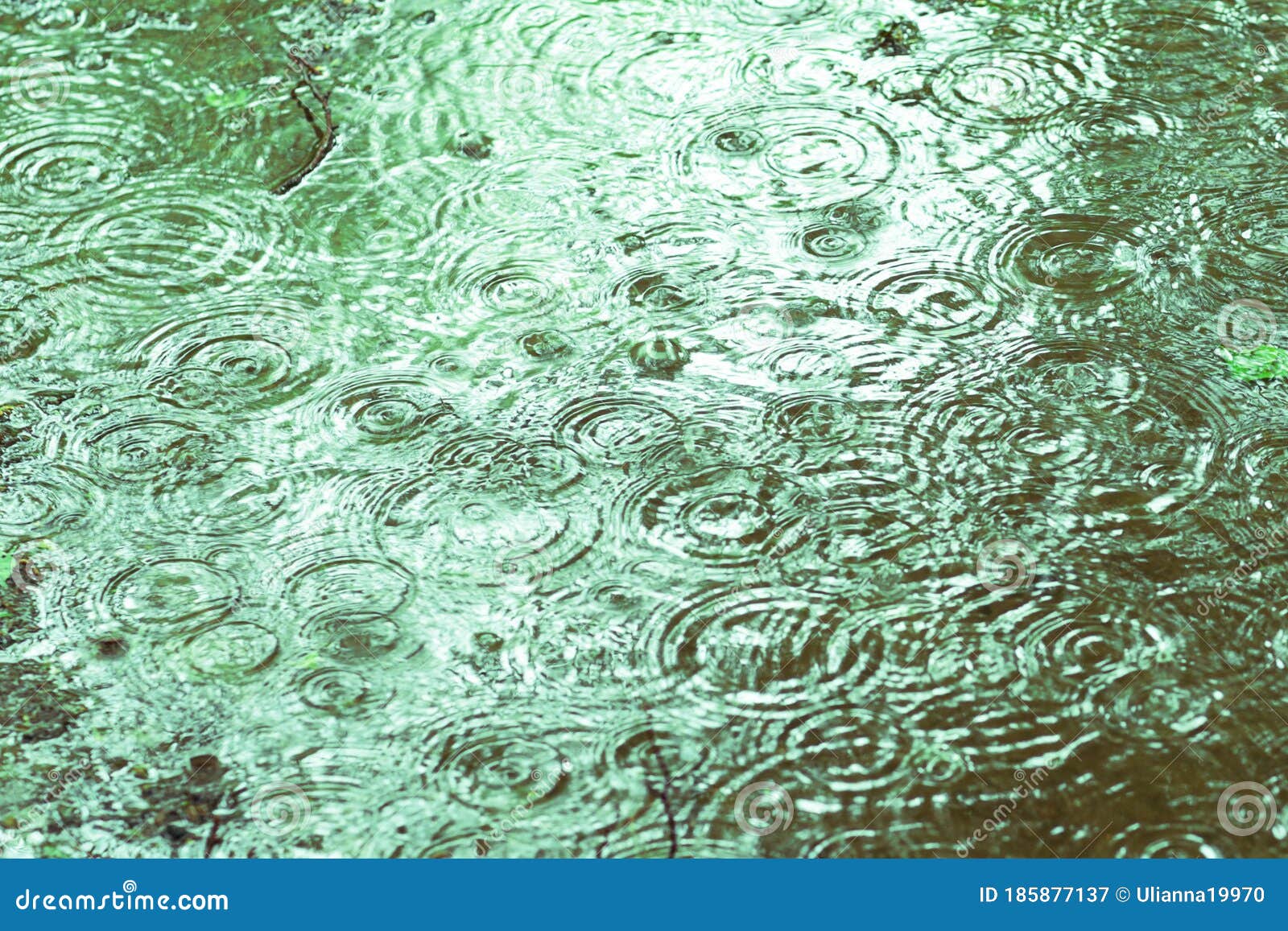 Water Surface with Rain Texture - Circles and Bubbles Texture Stock ...